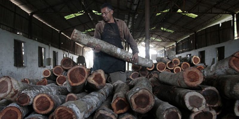 Now You Can Buy Wood in Cuba - Havana Times