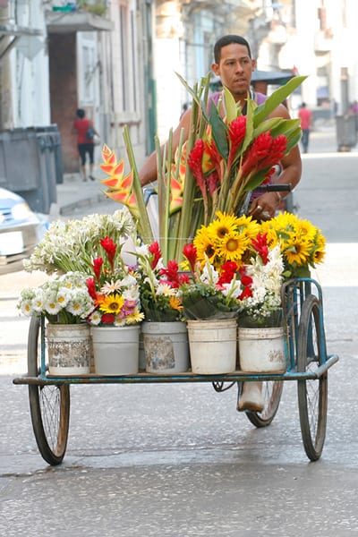 Cuban Journalists Defend their Right to Inform - Havana Times