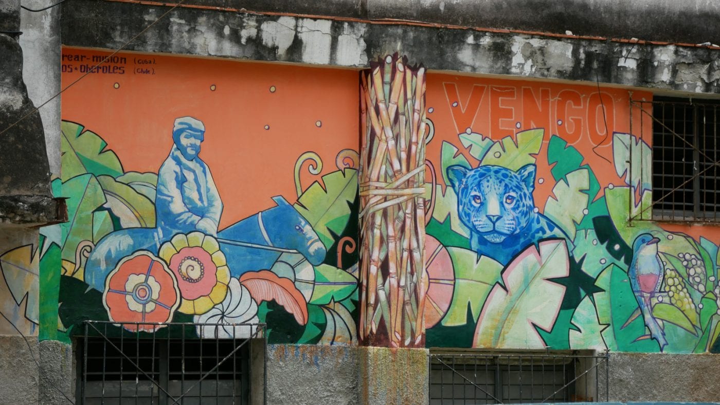 US Studies Invasion of Banana Rats at its Guantanamo, Cuba Base ...