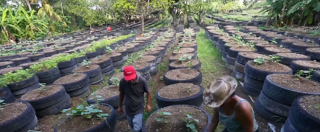 La Melissa, a Cuban Farm on Wheels - Havana Times