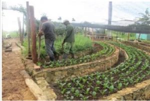 Cuban Scientist Dreams of a Sustainable Farming Community - Havana Times