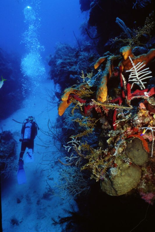 Playa Santa Maria, Cuba - Photo of the Day - Havana Times