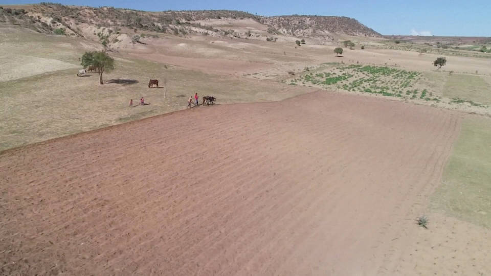 Madagascar on Brink of World’s First “Climate Change Famine” - Havana Times