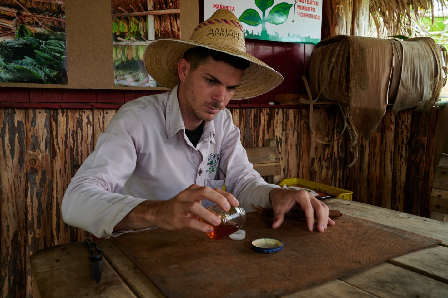 Adrian, Tobacco Master, Viñales, Cuba - Photo of the Day - Havana Times