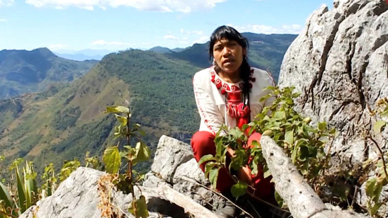 Mexican Indigenous Land Protector Irma Galindo Barrios Missing for Over ...