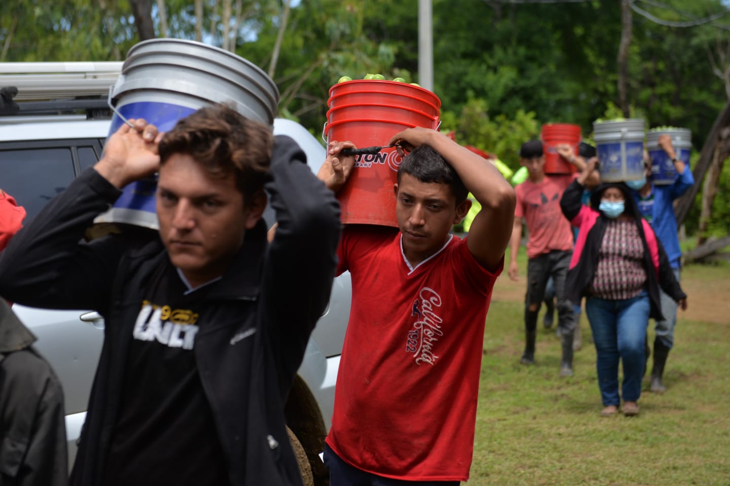 A Successful Lime Plantation in Nicaragua’s Drylands - Havana Times