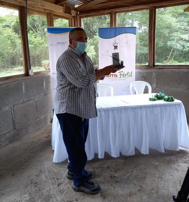 A Successful Lime Plantation in Nicaragua’s Drylands - Havana Times