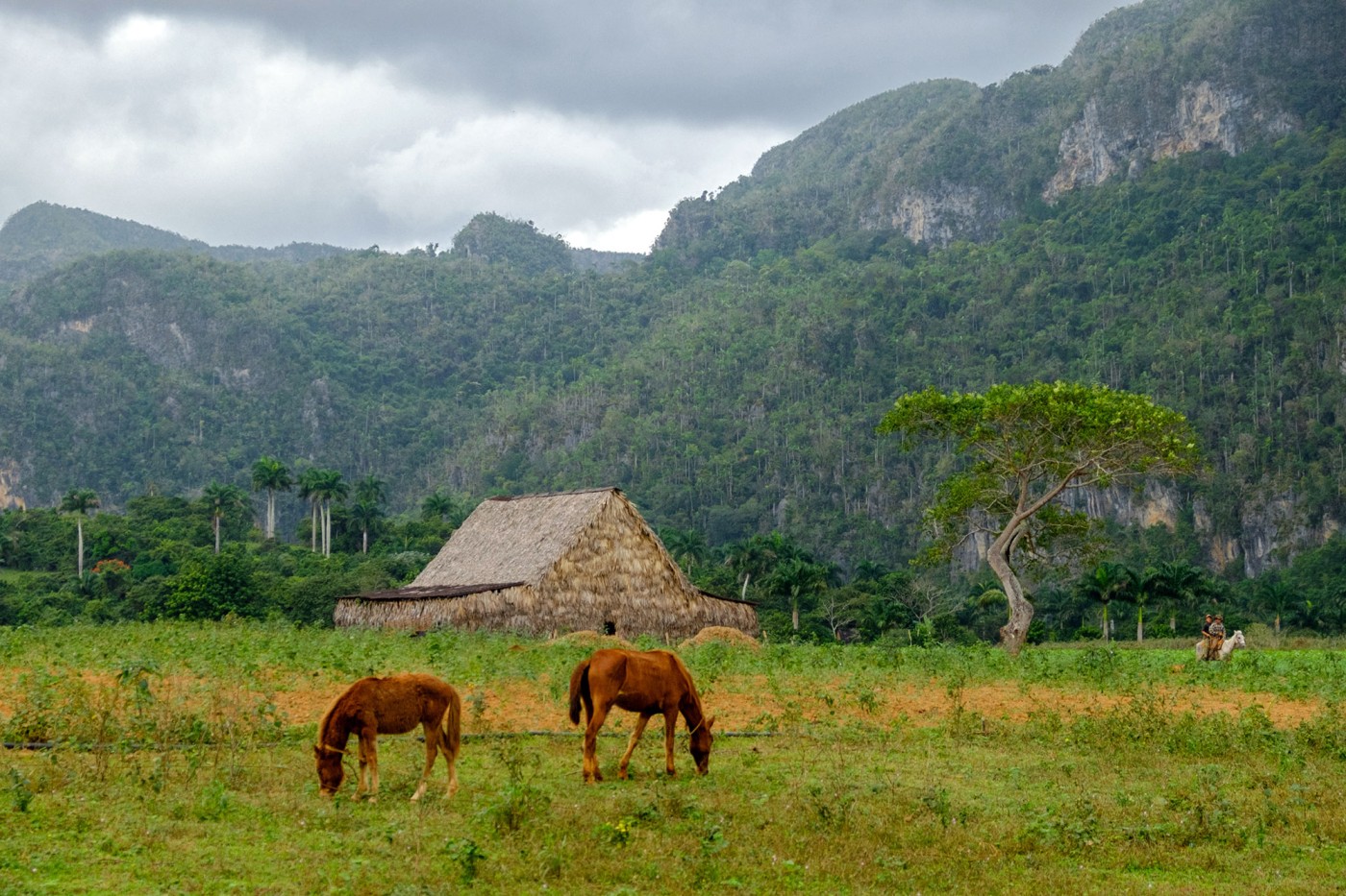 Pinar del Rio Landscape - Photo of the Day - Havana Times