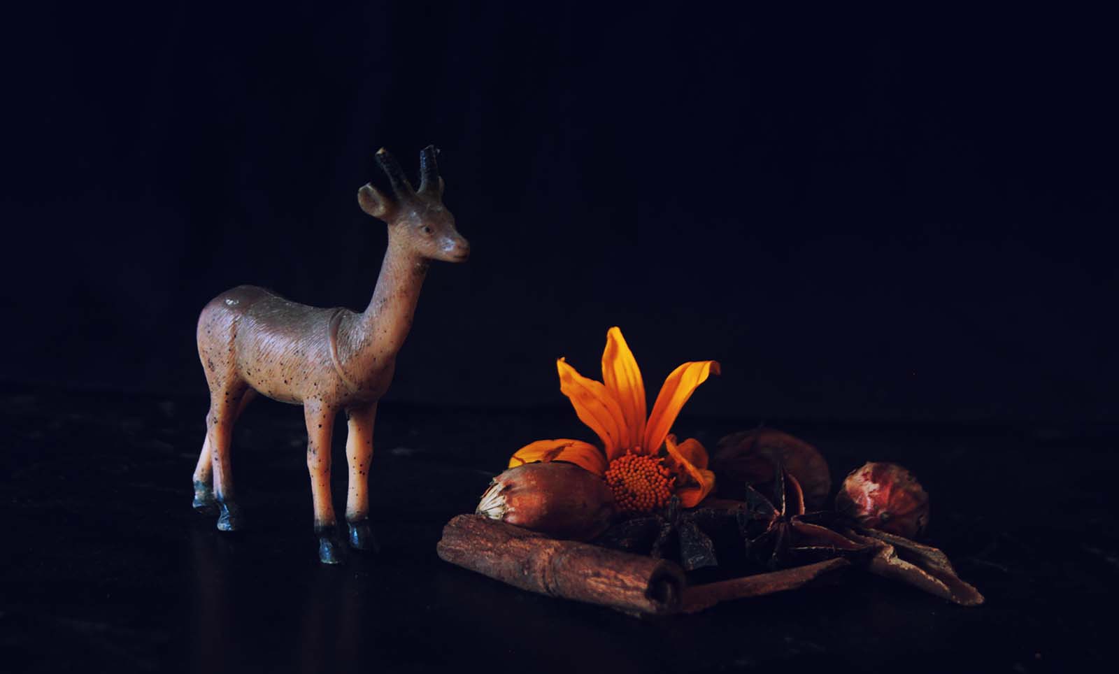 Deer and Still Life, Havana, Cuba - Photo of the Day - Havana Times