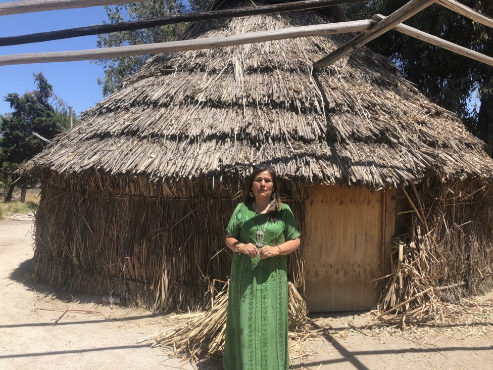 Chile: Mapuches React to Rejection of the “Pluri-National” - Havana Times