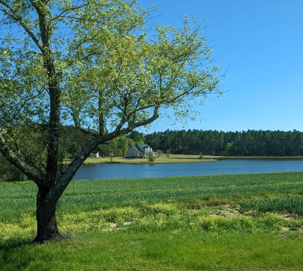A Peaceful Place, Georgia, USA - Photo of the Day - Havana Times