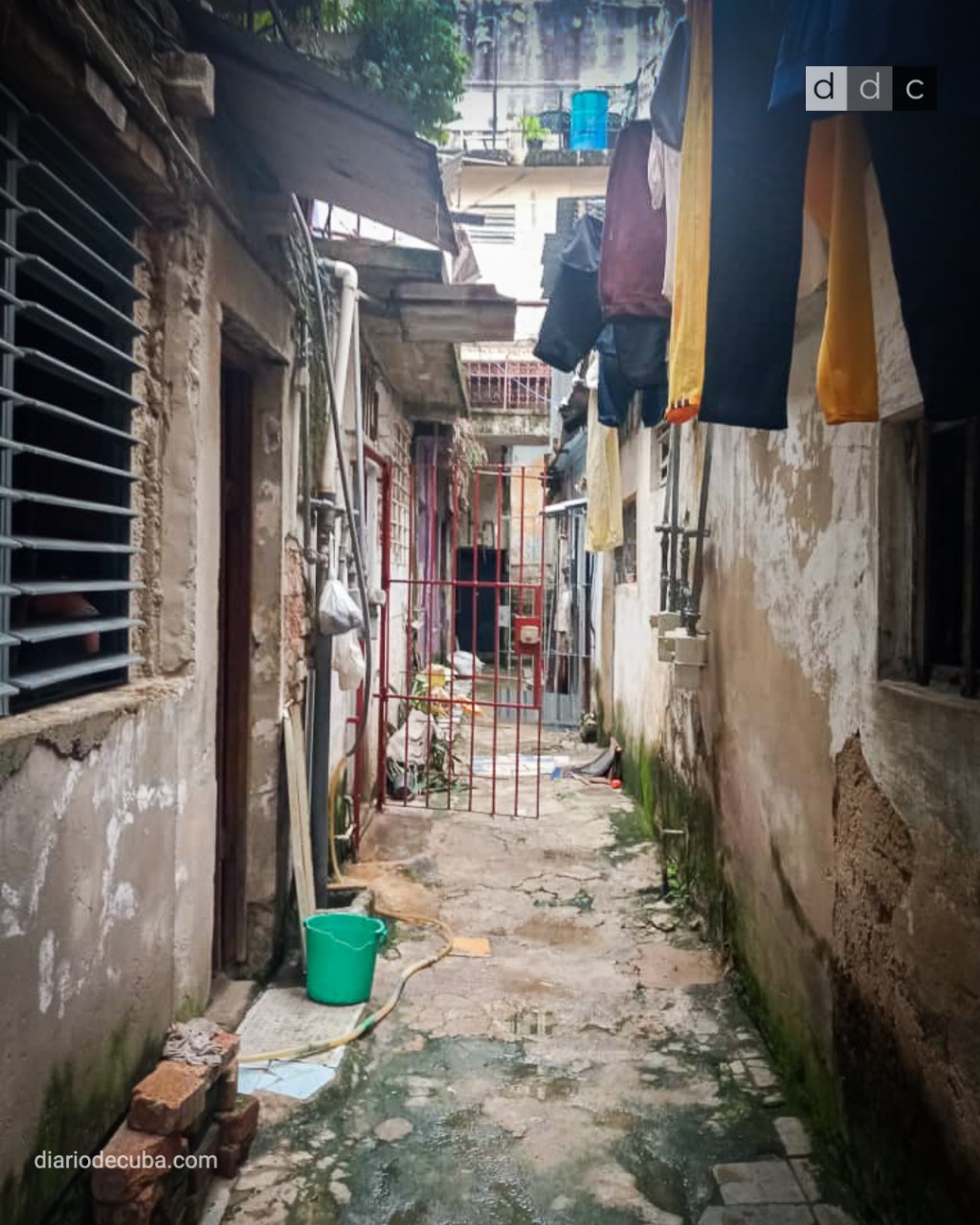 A Strangely Happy Outcome - Havana Times