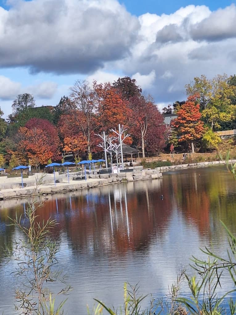 Fall Colors in Waterloo Park, Canada - Photo of the Day - Havana Times
