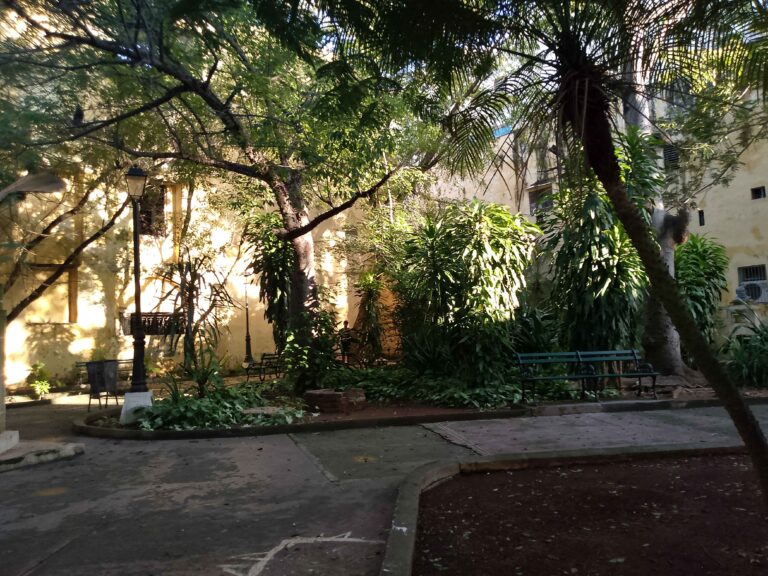 A Visit to the Alexander von Humboldt Park in Havana - Havana Times